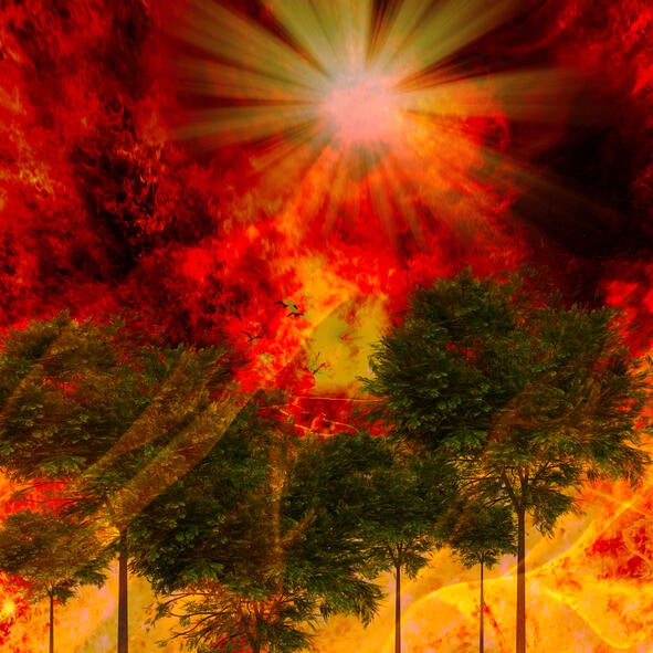 Climate Fire | Inside UCR | UC Riverside